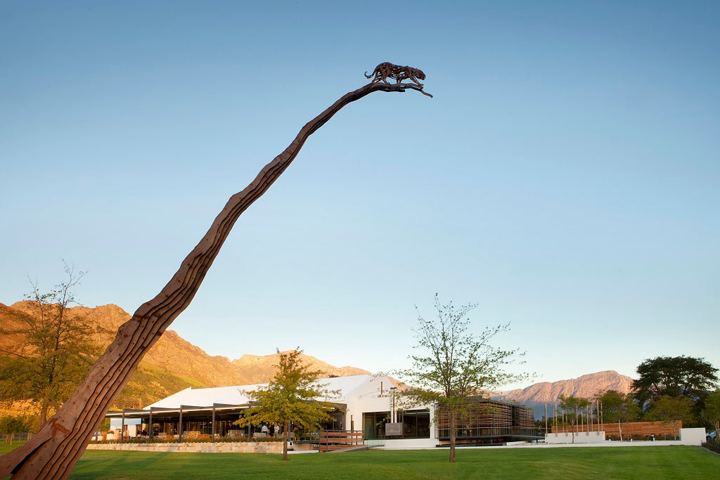 Leopard's Leap closes tourism experience in face of Corona threat ...